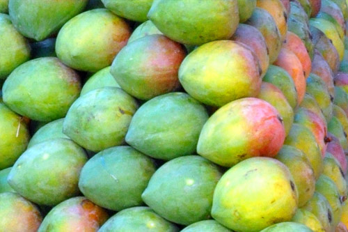 Know your mangoes: The best Mango varieties in Bangalore - Cookifi